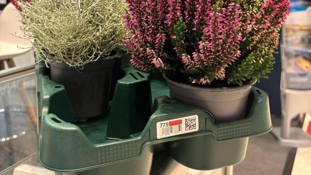 CASE STUDY: EPT – RFID Inmould label for smart reusable plant trays ...